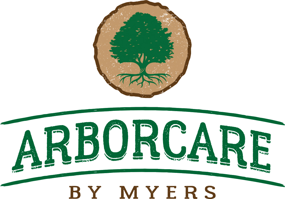 Arborcare By Myers